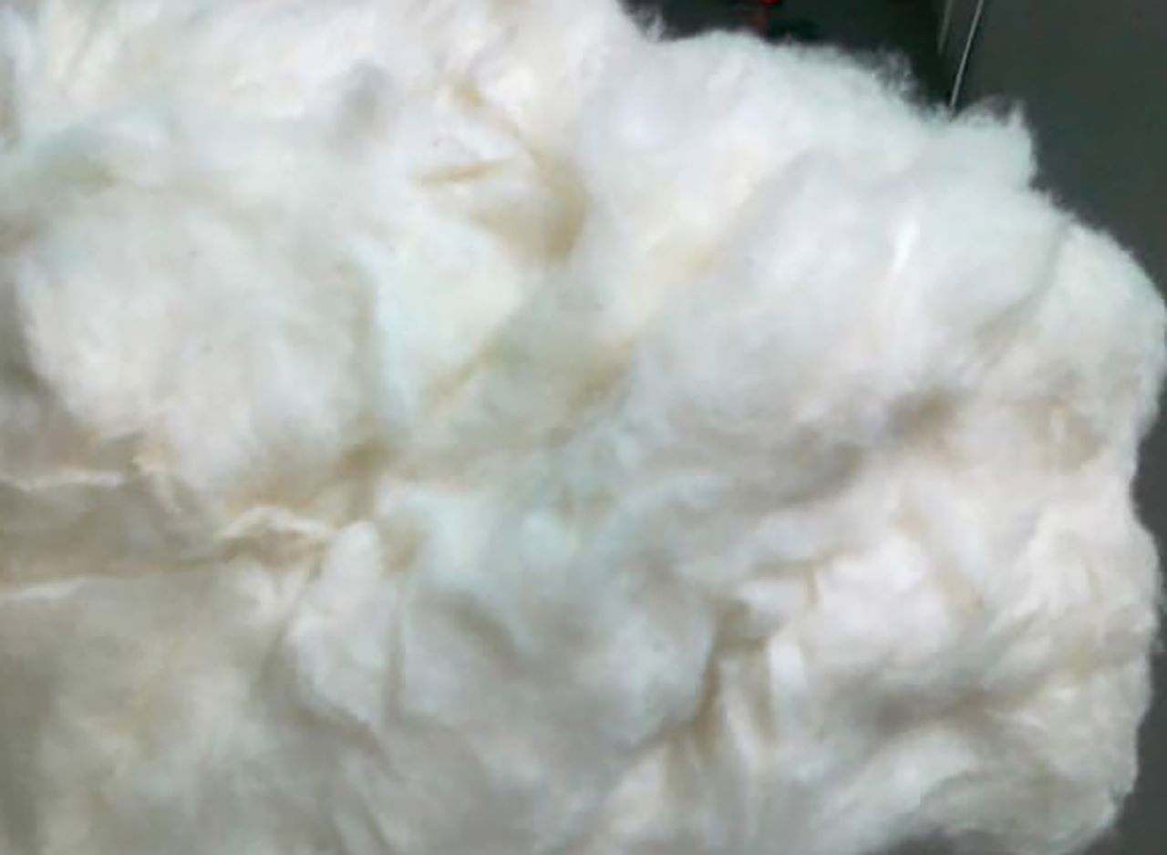 Export – Asco Plc Corporation